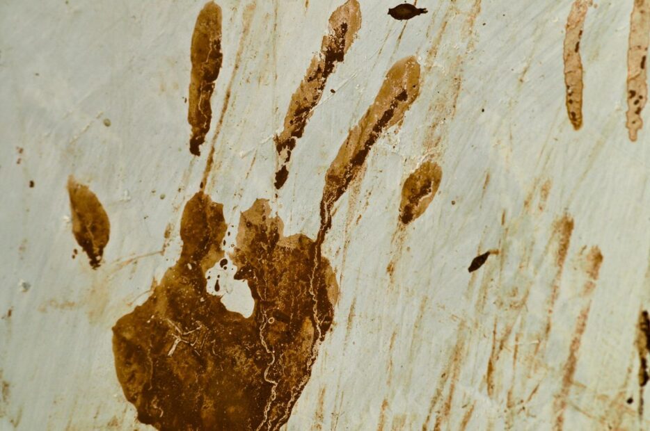 Prehistoric Relics Discovered at Miami Construction Site